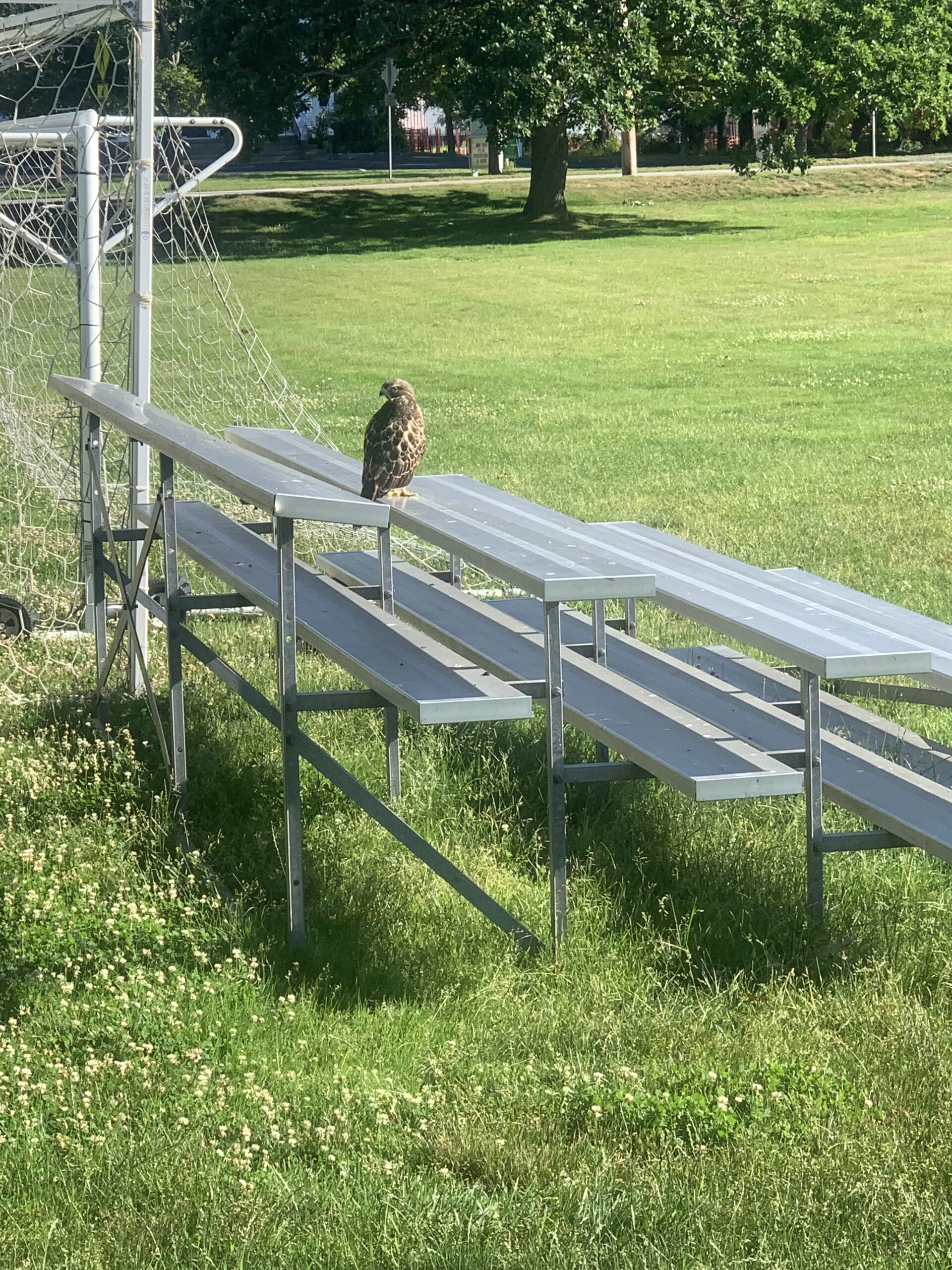 Scapeway Gardeners News – Scapeway Gardeners • West Bridgewater, MA